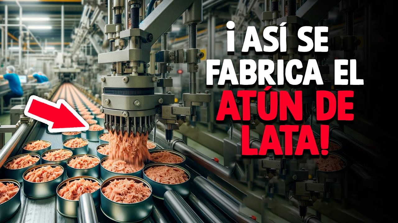 ¿Cómo Se Hace El Atún En Lata? [Proceso En Fábrica] - YouTube