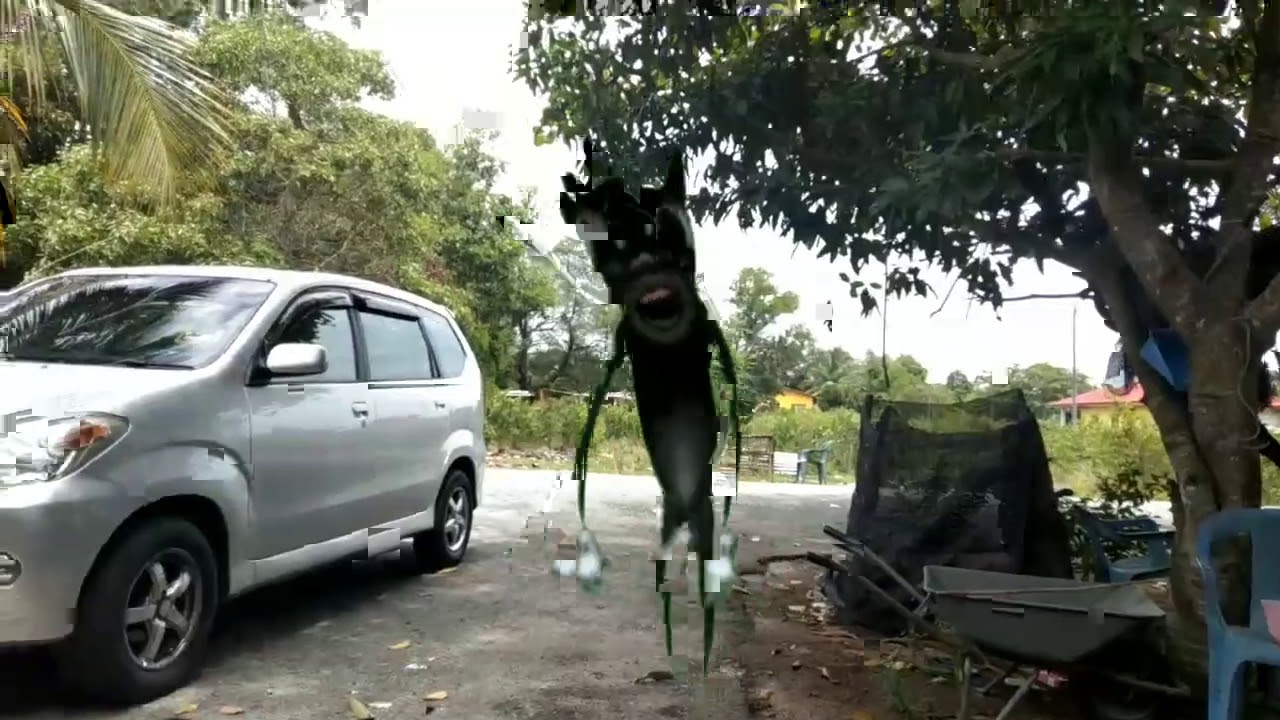 Cartoon cat in real life - YouTube