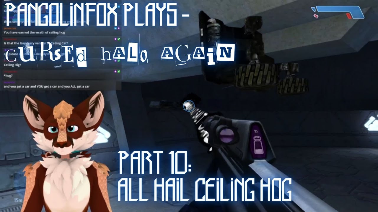 All Hail Ceiling Hog - Cursed Halo Again [Part 10] [Furry VTuber] - YouTube