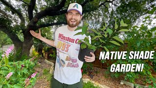 Amazing Shade Loving Native Plants! Backyard Garden Makeover! Texas Zone 9
