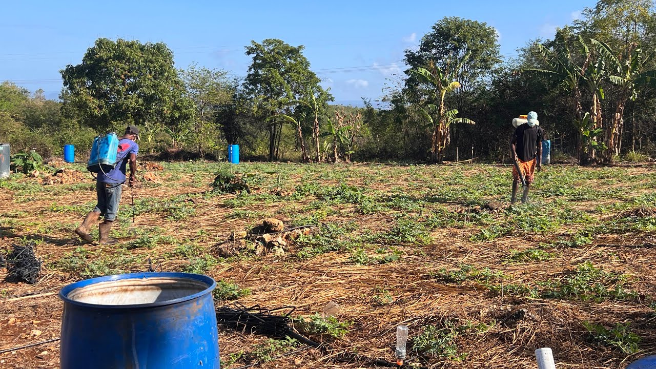 HAPPY SATURDAY NATION JLN THANKFUL FOR RAIN WHAT A BLESSING 🙏🏾 - YouTube