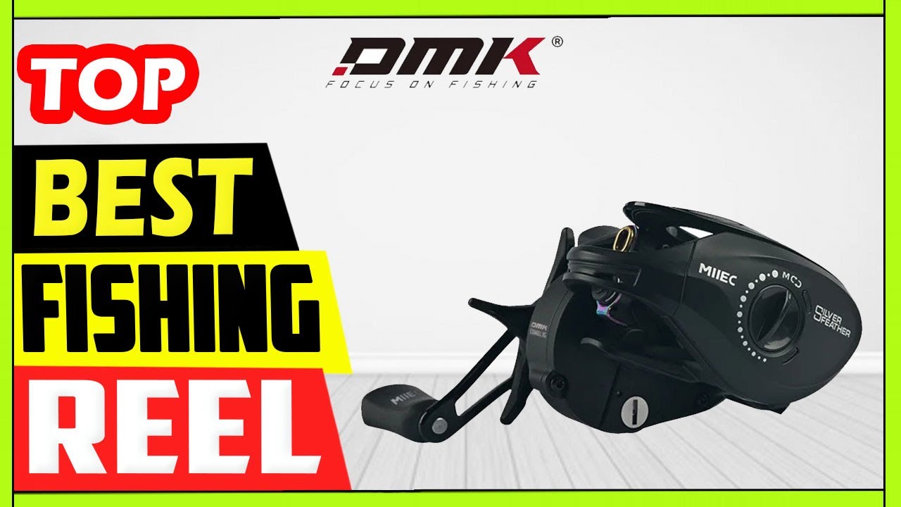 Best DMK Silver Feather Casting Reel Review - YouTube