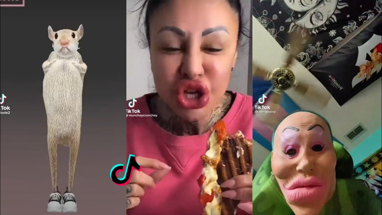 8 minutes of relatable funny tik tok compilation - YouTube