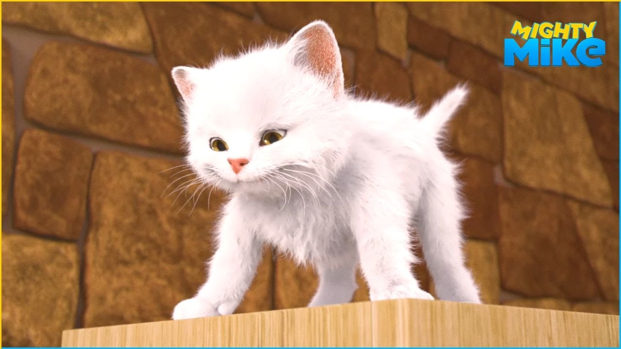 White Cat | Mighty Mike | 60' Compilation - YouTube