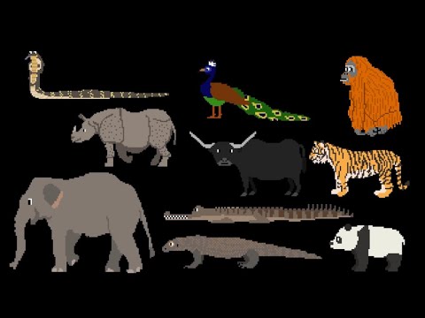 Asian Animals