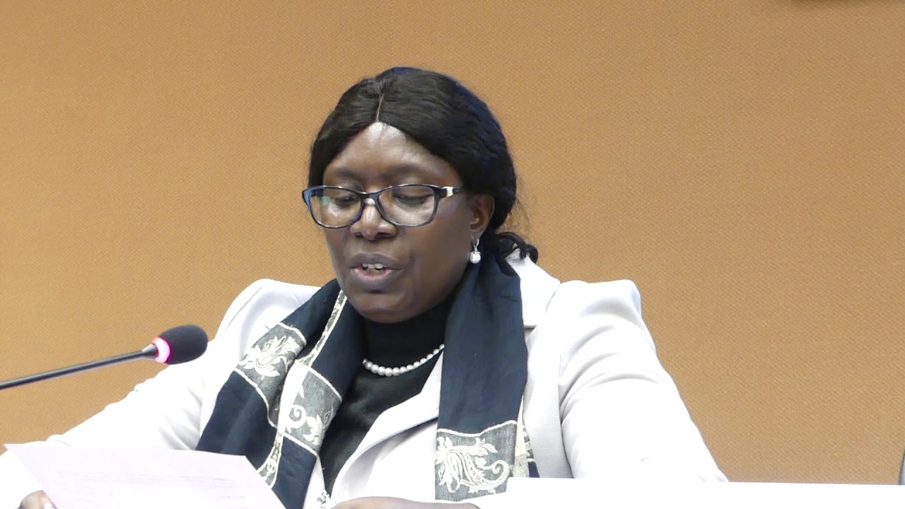 Statement of Deputy Minister of Justice of Namibia, Ms SHAPWA, during a ...