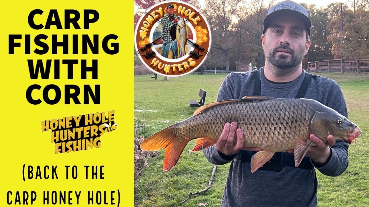 Carp Fishing With Corn - YouTube