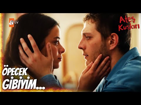 Gülayşe ve Barbar yakınlaşıyor - Ateş Kuşları 18. Bölüm