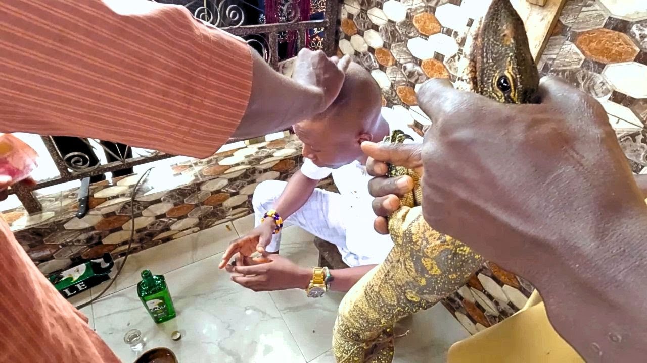 Monitor Lizard used to pray for Ifa Priest - YouTube