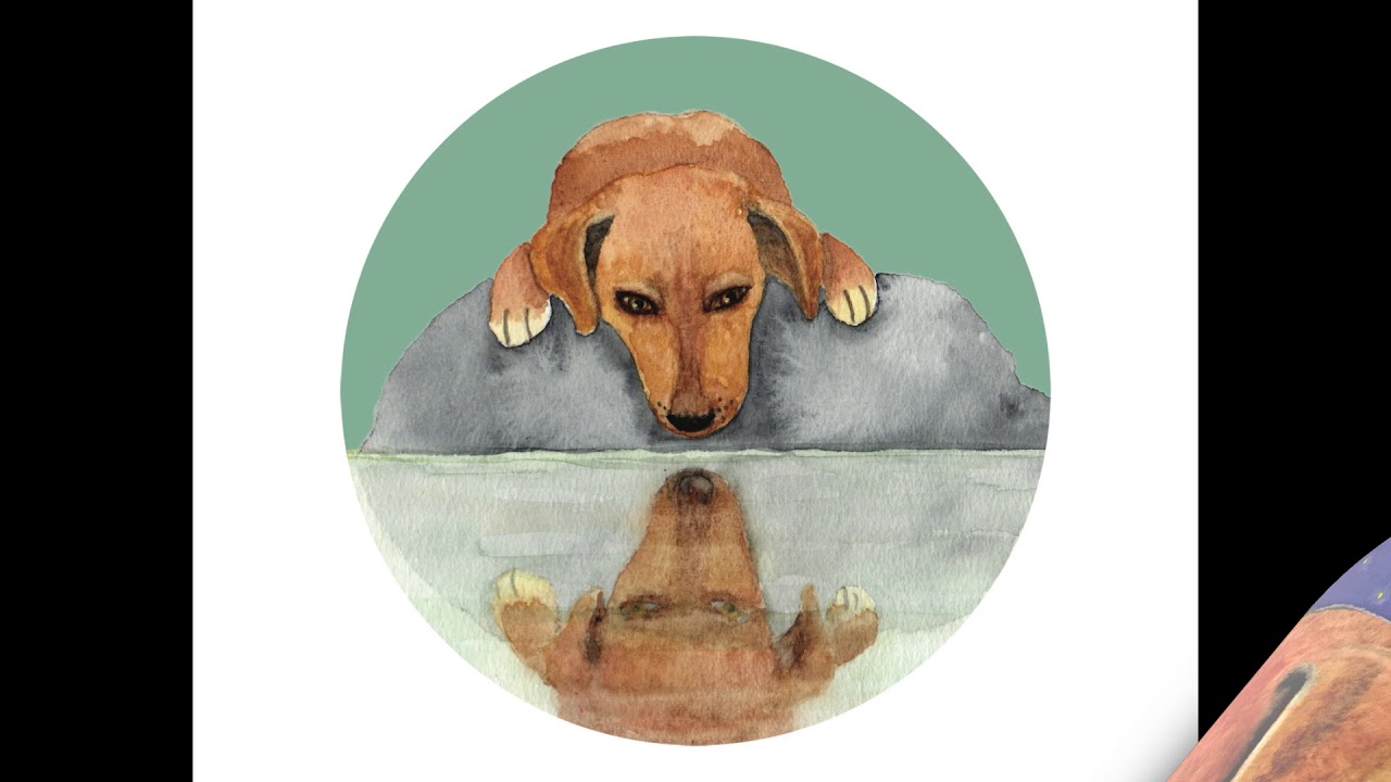 Maggie Believed by Ann Biese - YouTube