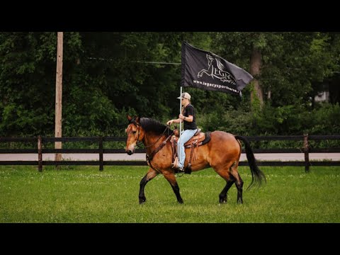 Fred Flag - YouTube