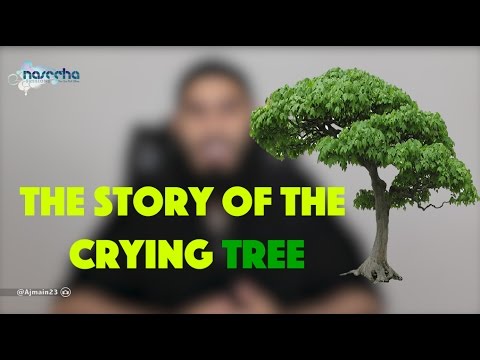 The Story Of The Crying Tree [Emotional story] - YouTube