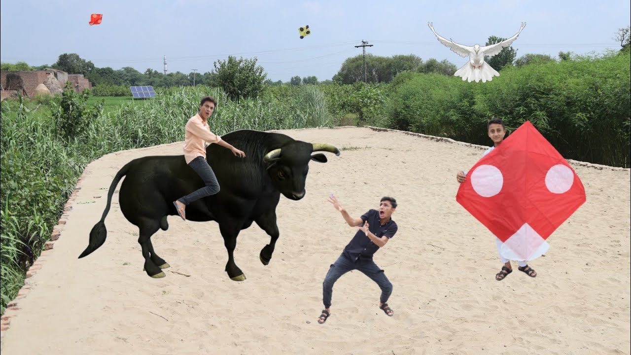 Nasir Cow Vs 25 Cow & Kite Cutting Challenge | Gudda - YouTube