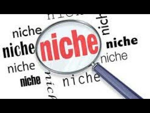 Market nicher strategy - YouTube