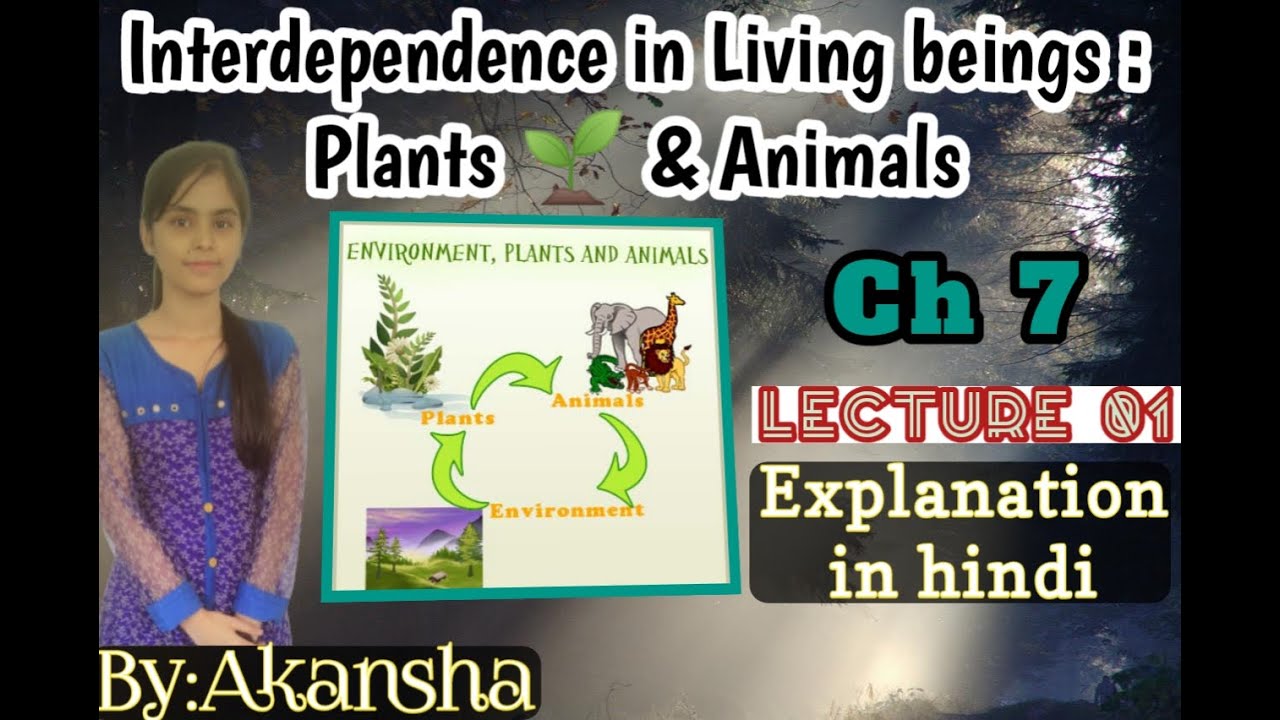 ICSE Board Class-5 Science Ch-7{Interdependence in Living Beings-Plants ...