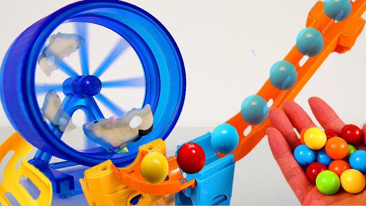 Spinner Marble Run Race ASMR ☆ Hamster Goes Supersonic ☆ Creative ...