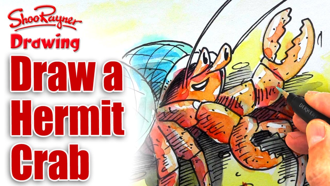 How to draw a Hermit Crab - YouTube