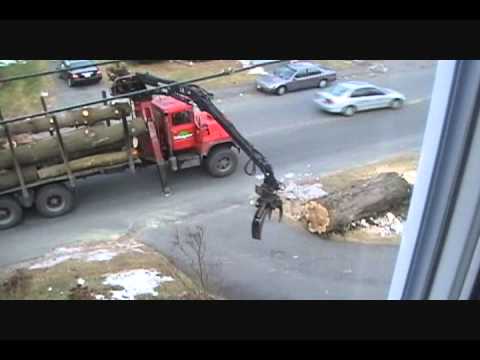 log removal - YouTube
