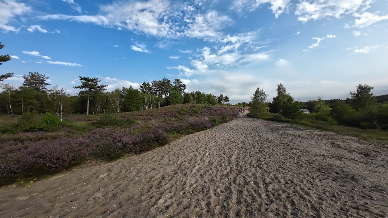 Camperplaats Bos & Heide in Bergen (L) DEEL 1 Wat een prachtige ...