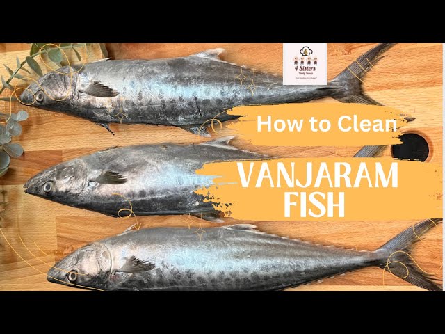Vanjaram In English Buy Vanjaram/Seer Fish Medium Slices Online Flat