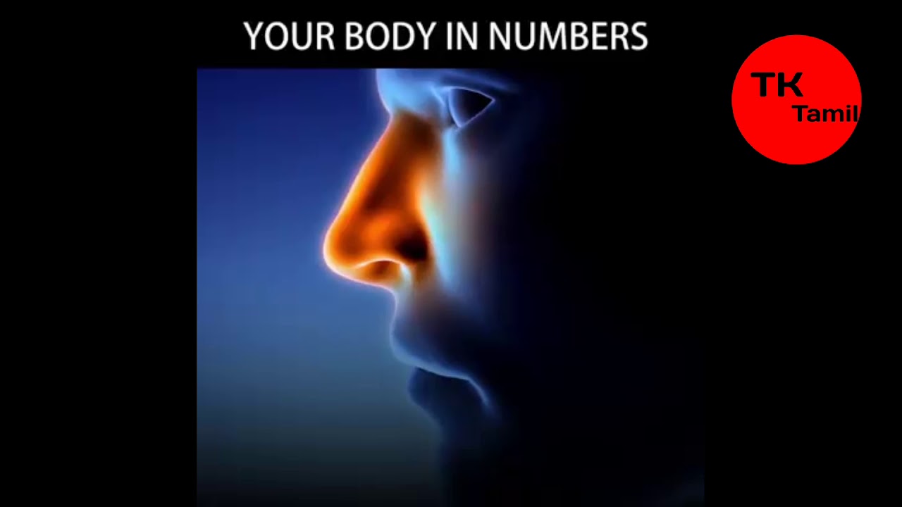 Your body in numbers - YouTube