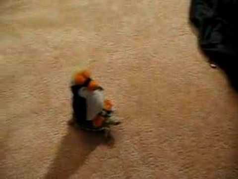 Penguin riding a turtle - YouTube