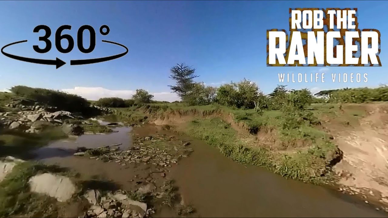 Maasai Mara Virtual Safari Drive (In 360° VR) | Zebra Plains - YouTube