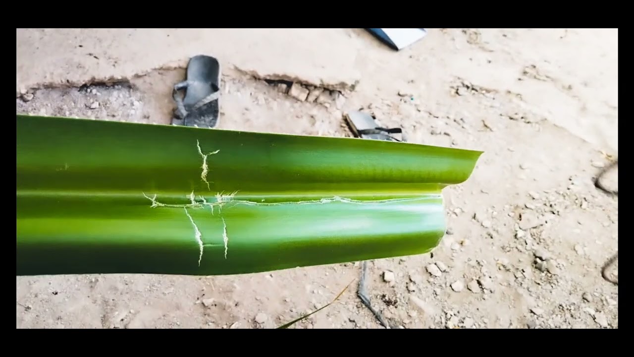 Pandan Lalaki - YouTube