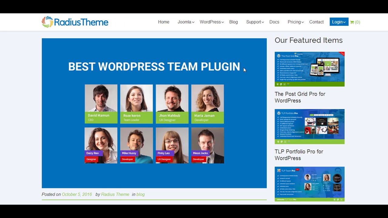 Best WordPress Team Members Plugin - WordPress Team Members - WordPress ...
