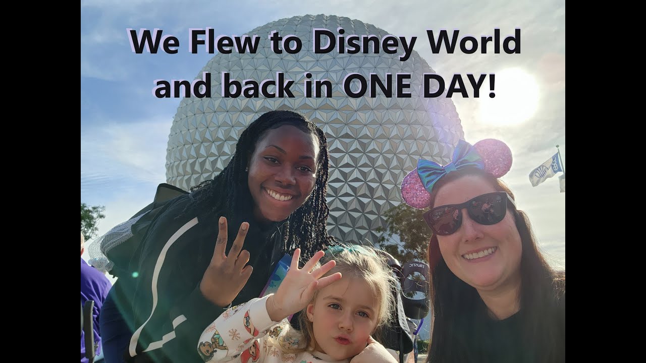 We flew to Disney World and Back in ONE DAY with a Preschooler! The ...