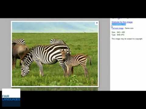 How to find Creative Commons Images using Google Image Search - YouTube