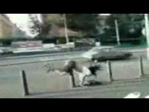 Man falls on metal pole! OUCH! HURTS! - YouTube