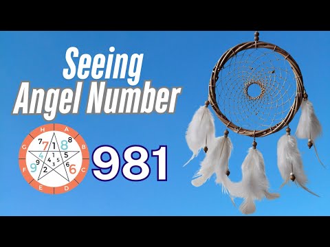 Discover the Meaning Behind Angel Number 981 | Spiritual Guidance ...