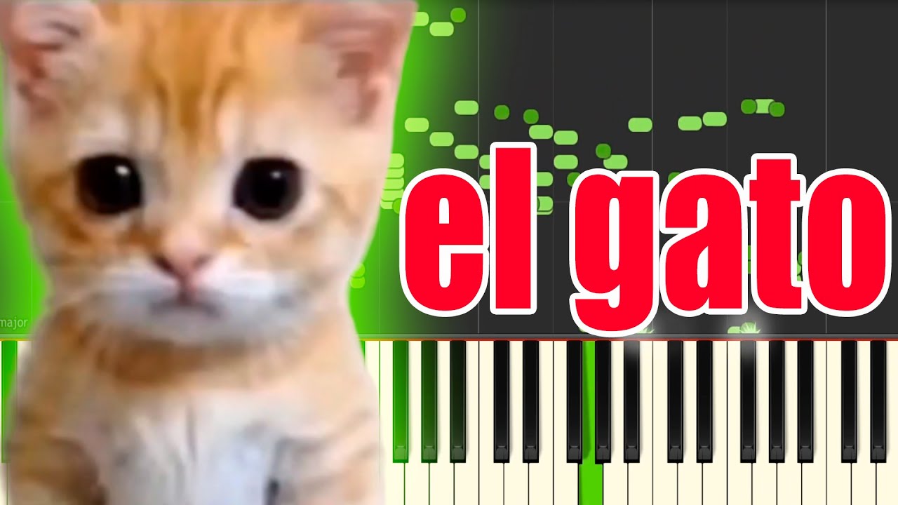 El gato but it's MIDI (Auditory Illusion) | El gato Piano sound - YouTube