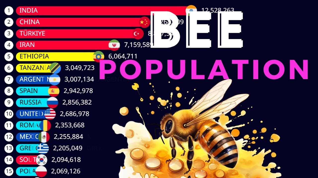 20 COUNTRIES WITH THE LARGEST BEE POPULATION - YouTube