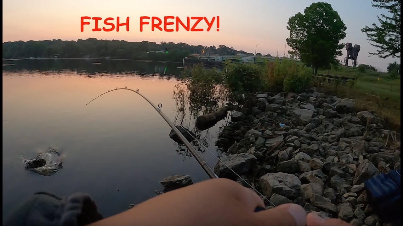 July 2024 Prescott Morning FISH FRENZY!!! - YouTube