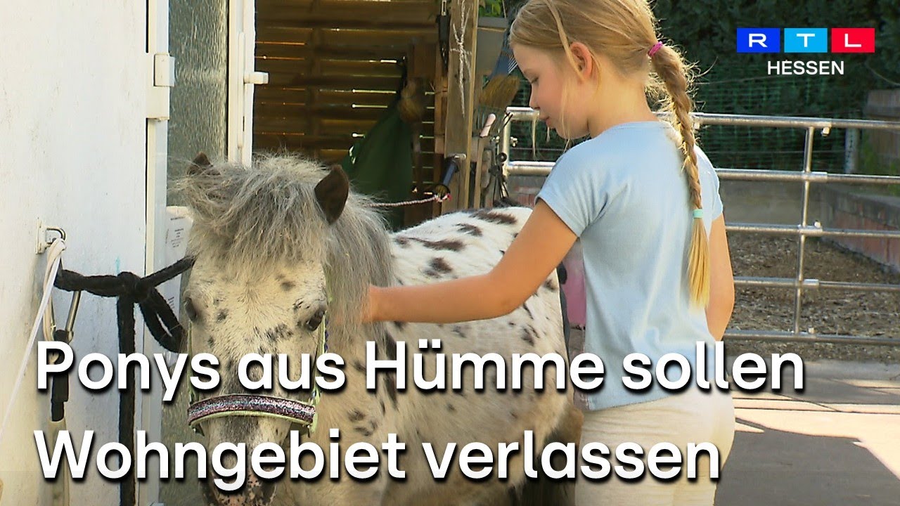 Nicole Burkhardt soll ihre Ponys abgeben – trotz sozialem Engagement ...