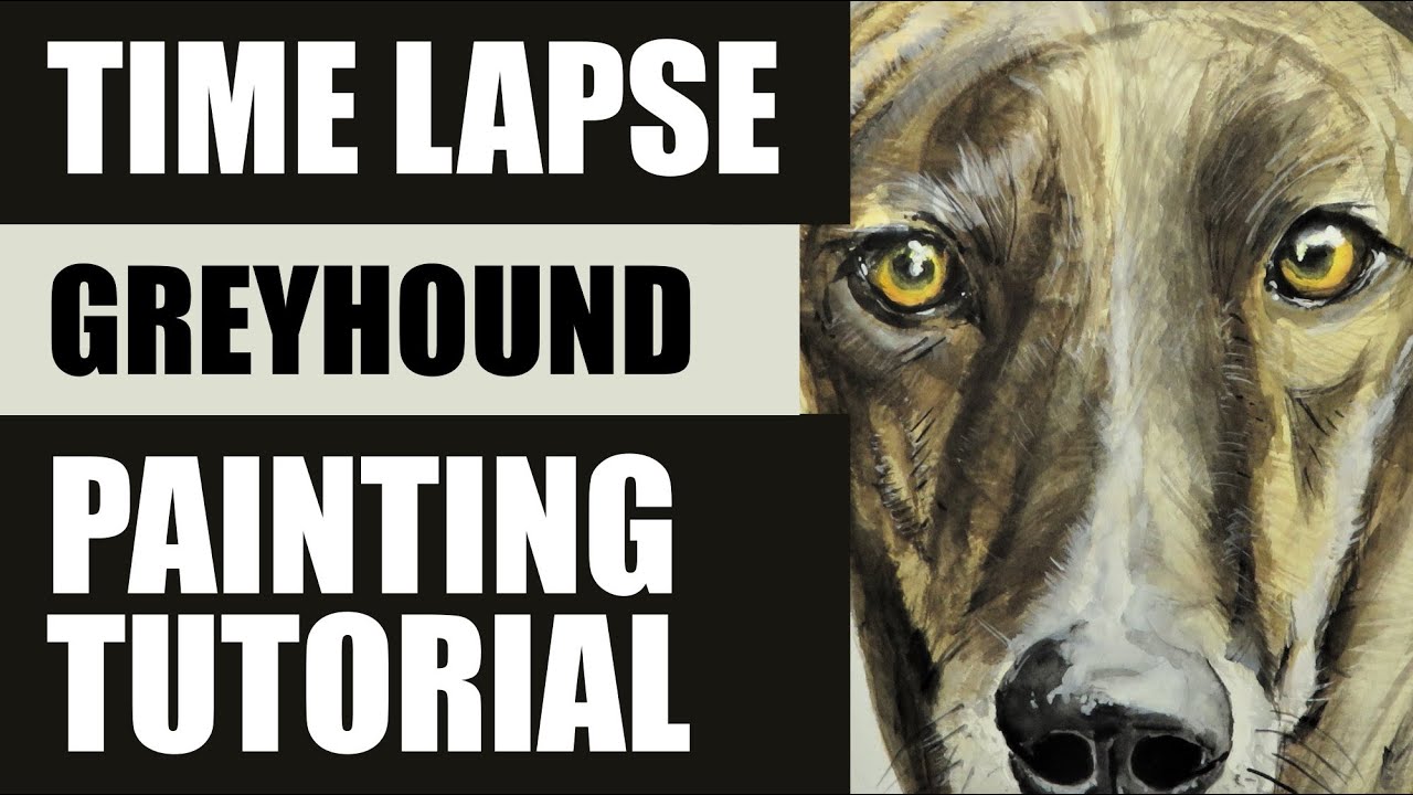How to Paint a Greyhound: 4 minute watercolor timelapse painting ...