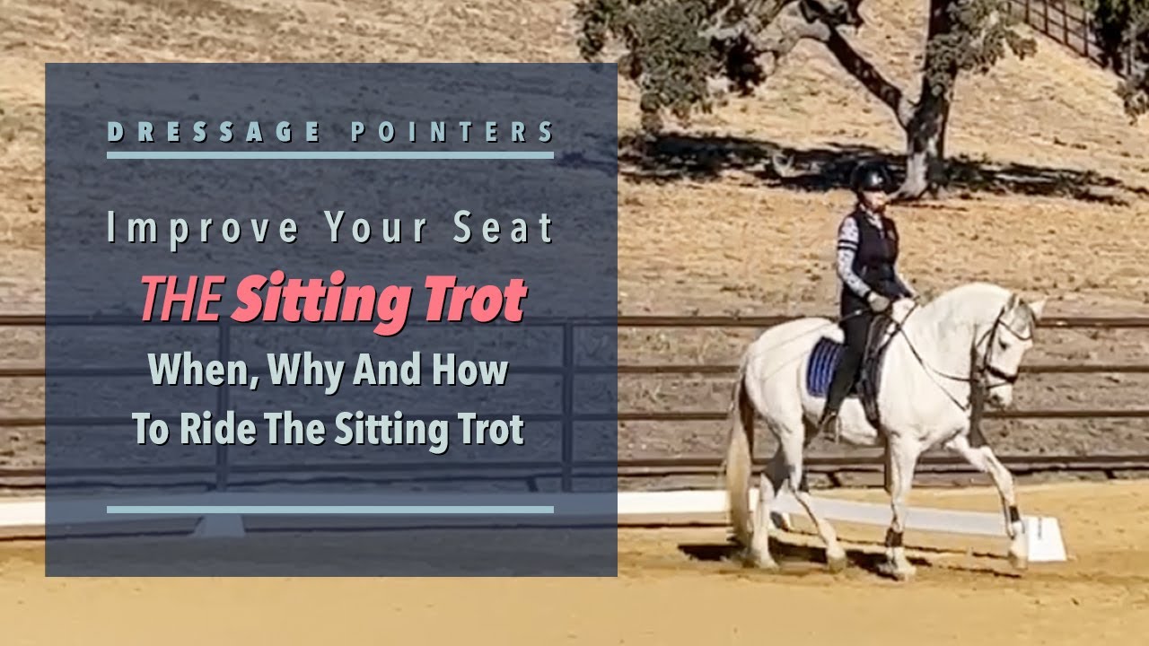 THE SITTING TROT: When, Why And How To Ride The Sitting Trot - YouTube