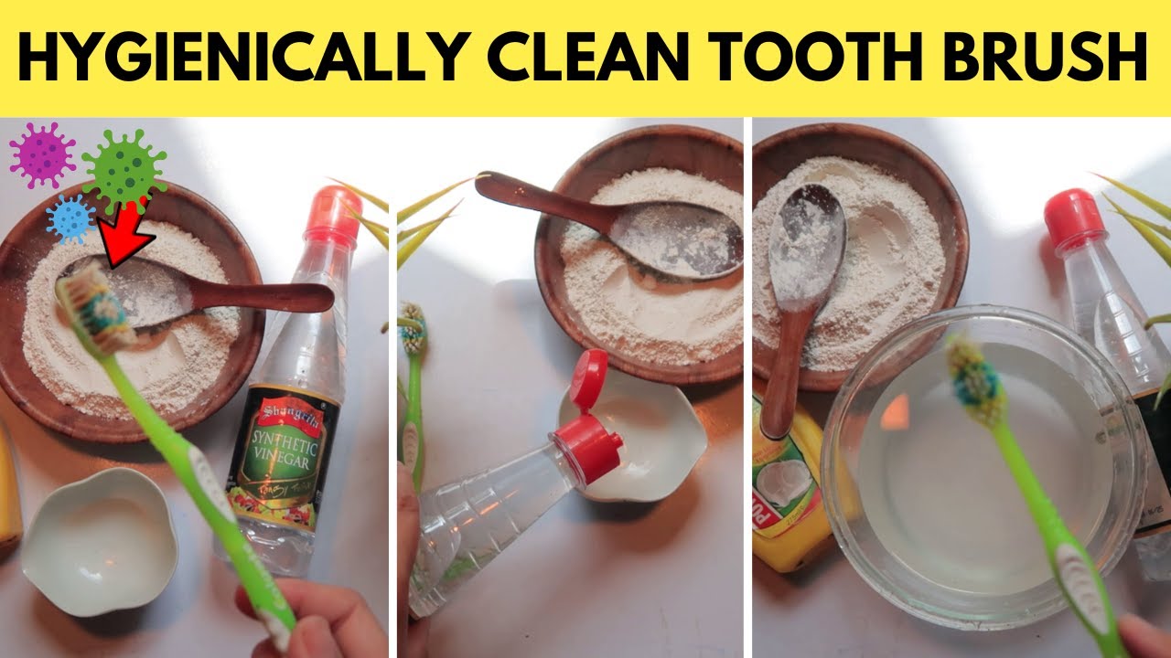 Most Hygienic Way to Clean & Sterilise Toothbrush, Head, and Holder ...