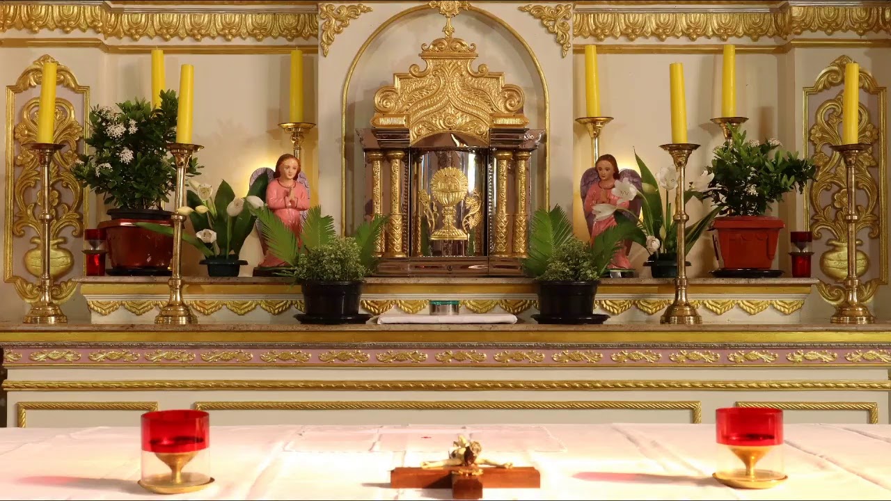 SUNDAY HOLY MASS -LIVE |NOV-8| ST.FRANCIS XAVIER'S CHURCH KARANCHIRA ...