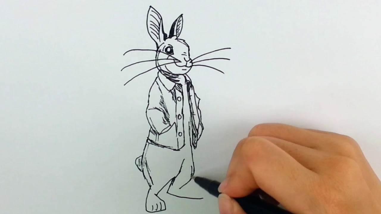 Fan Of Peter Rabbit How To Draw Peter 2 YouTube fan-of-peter-rabbit-how-to-draw-peter-2-youtube