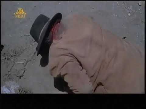 Chato's Land (1972)  MGM