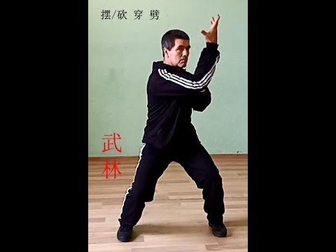 Bagua zhang Shou fa hand techniques "Wulin Dnipro" 八卦掌手法 - YouTube