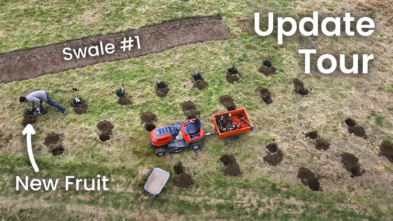 Exciting Plantings & Experiments at Our Permaculture Nursery - YouTube