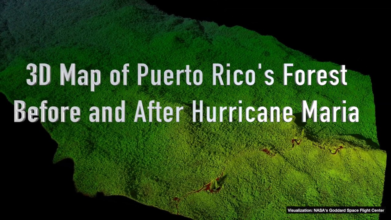 3D Map of Puerto Rico's Forest: Before and After Hurricane Maria - YouTube