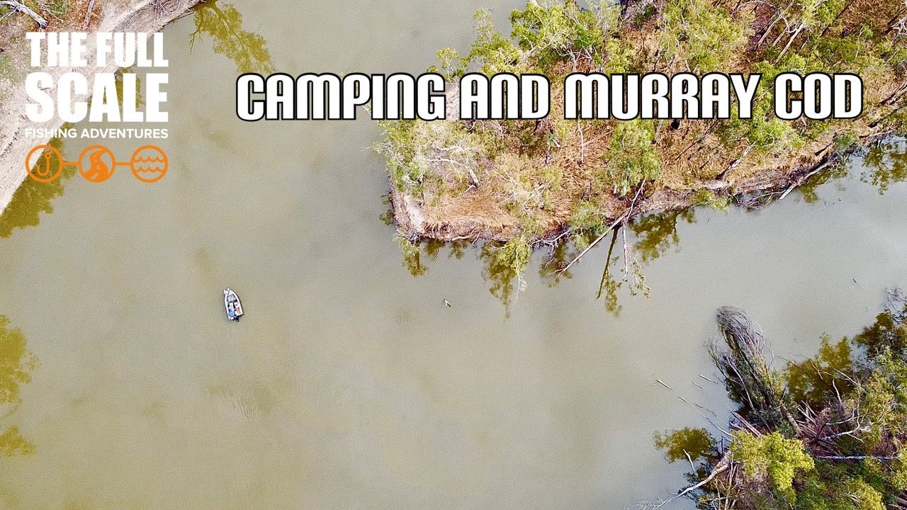 Camping and Murray Cod | The Full Scale - YouTube