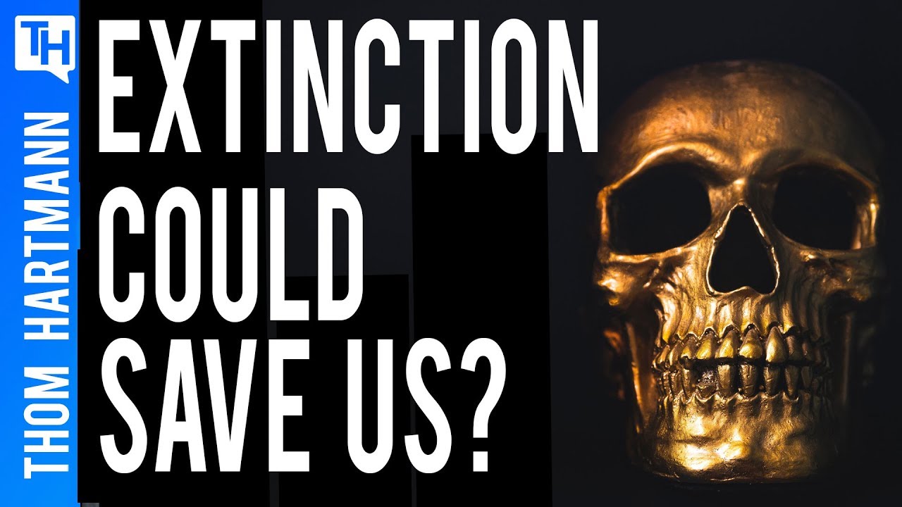 Why an Extinction Event Could SAVE the Human Race? - YouTube