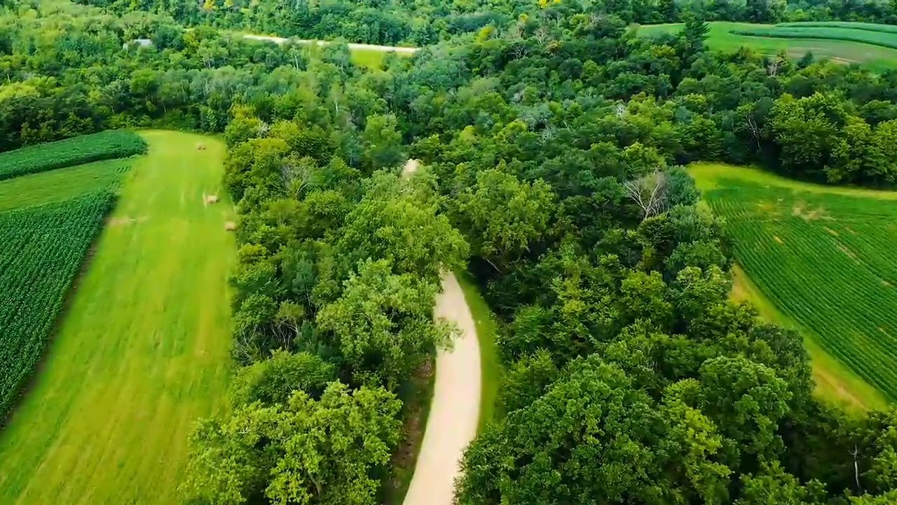 Nature Status Video YouTube nature-status-video-youtube