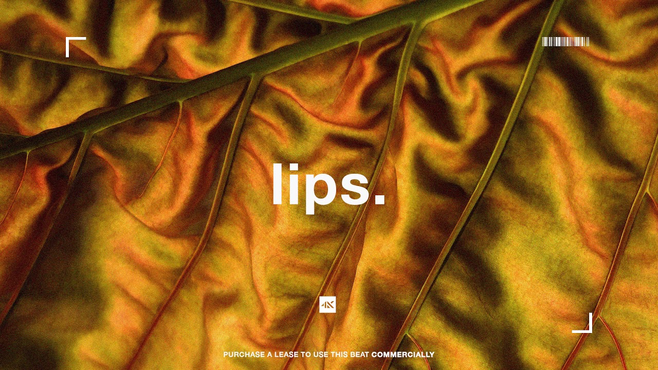 Afrobeat x Dancehall Type Beat "LIPS" | UK Afrobeat Instrumental 2020 ...